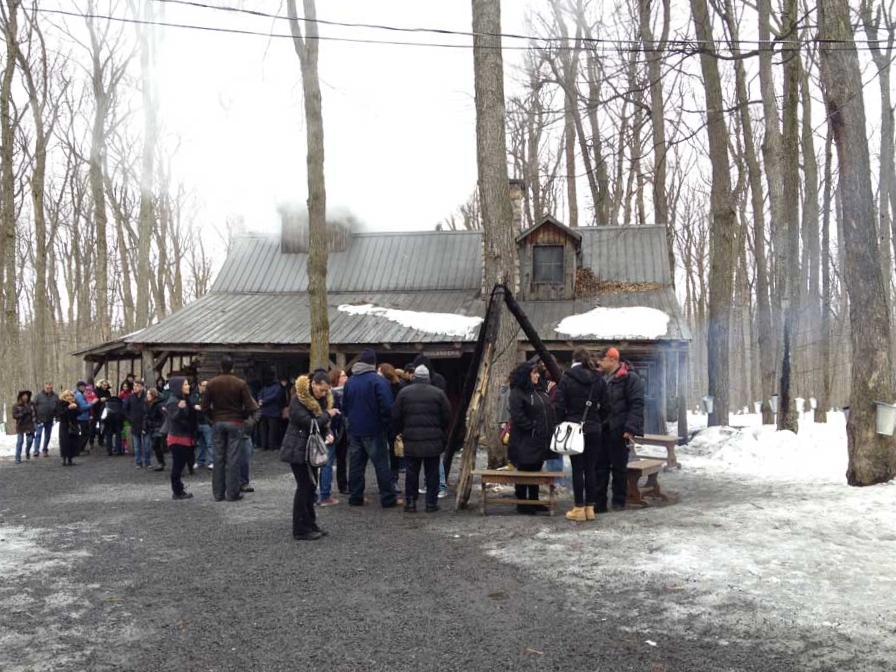L’incontournable Cabane à sucre - Ness à Montréal